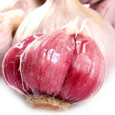 Hot Sale 100Pcs Garlic Seeds Pure Natural And Organic Vegetable Seeds ...
