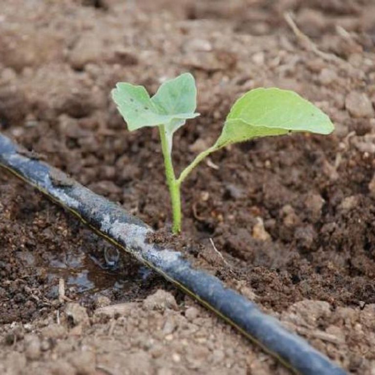 NuoNuoWell 50 Meters Garden Drip Tape Watering System Flat Streamline ...