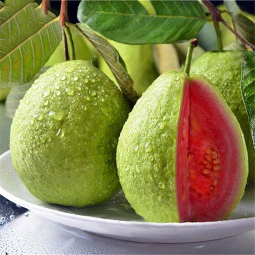 Red Guava Seeds, Fruit seeds, 30pcs/pack – GreenSeedGarden