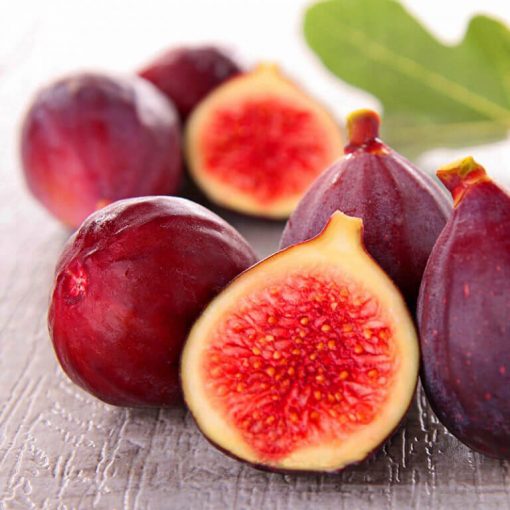 Figs Seeds, Fruit Tree Seeds, 100pcs/pack – GreenSeedGarden